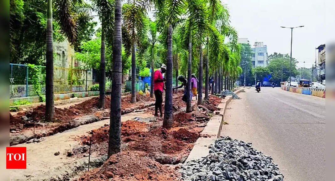 Walking: Work Begins To Renovate Walking Track Along Major Saravanan ...