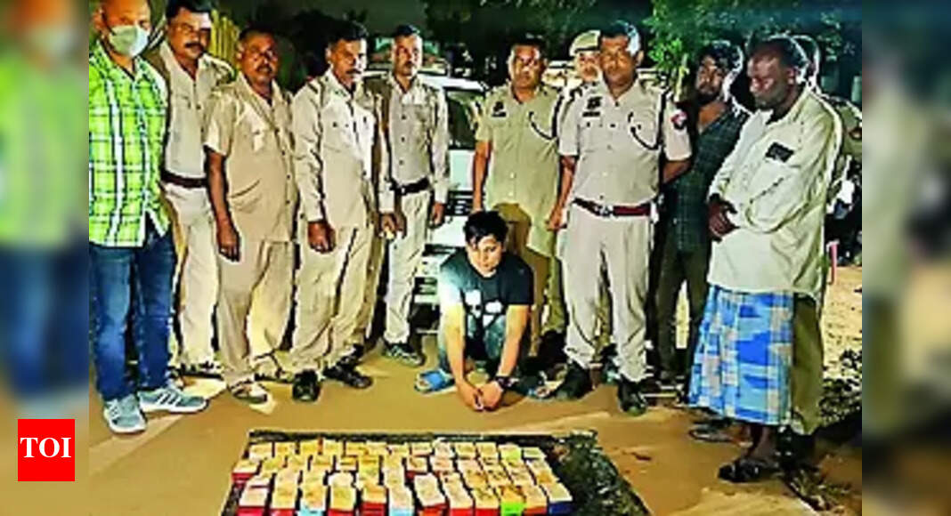 Extinction Event Drugs Worth Over 5 Crore Seized In Assam 1 Arrested