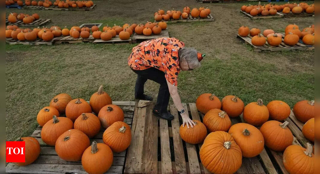 Climate Change: How extreme weather in the US may have affected the ...