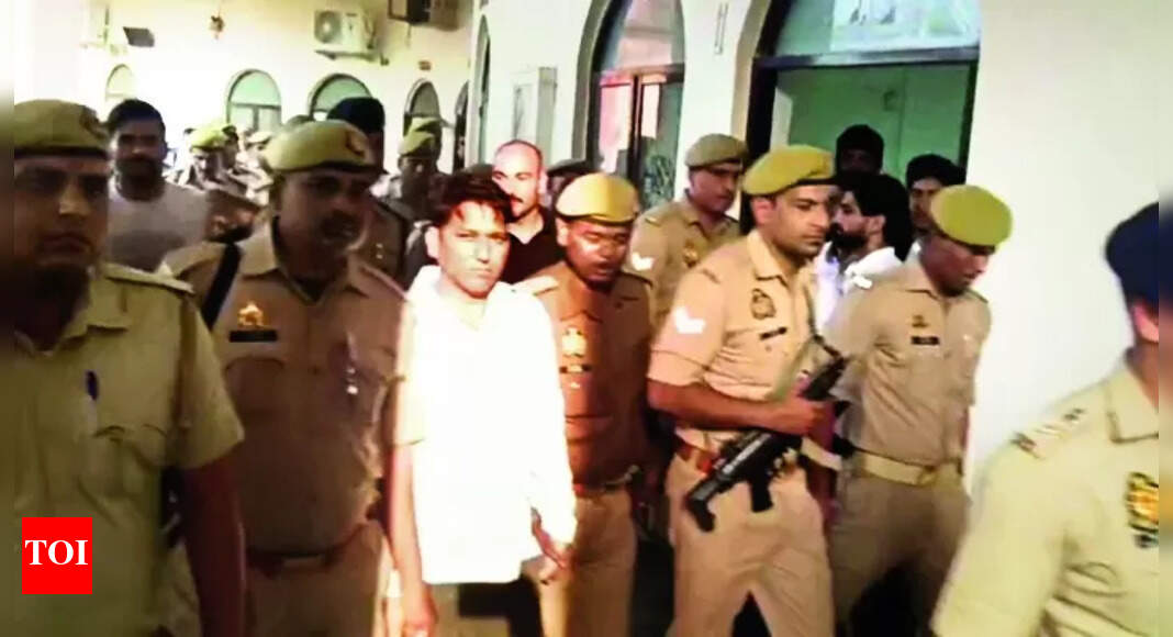 Samajwadi Party: Gangster Randeep Bhati, 3 More Get Life For Sp Neta’s ...