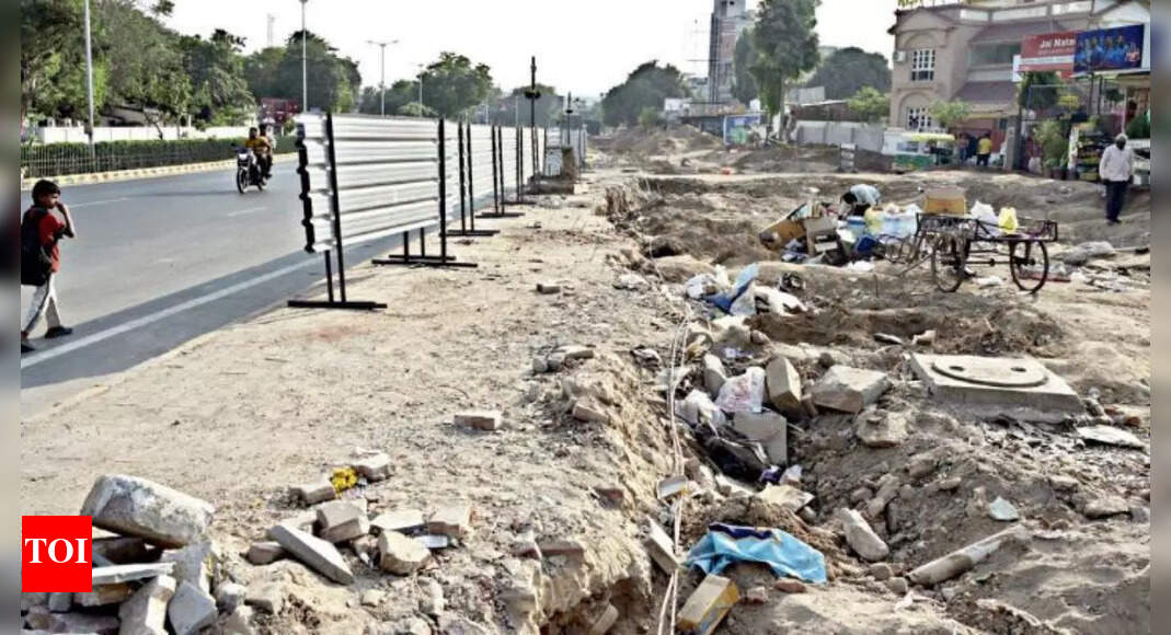 Ahmedabad: 242 trees to be cut for PPP road project | Ahmedabad News ...