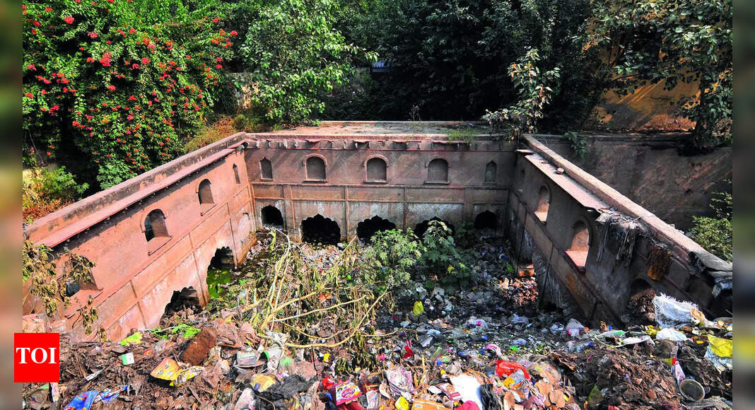 Restoration To Breathe Life Into Badshapur Baoli | Gurgaon News - Times ...