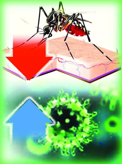 Swine Flu: Dengue Sting Weakens, But Swine Flu Sets Off Alarm Bells ...