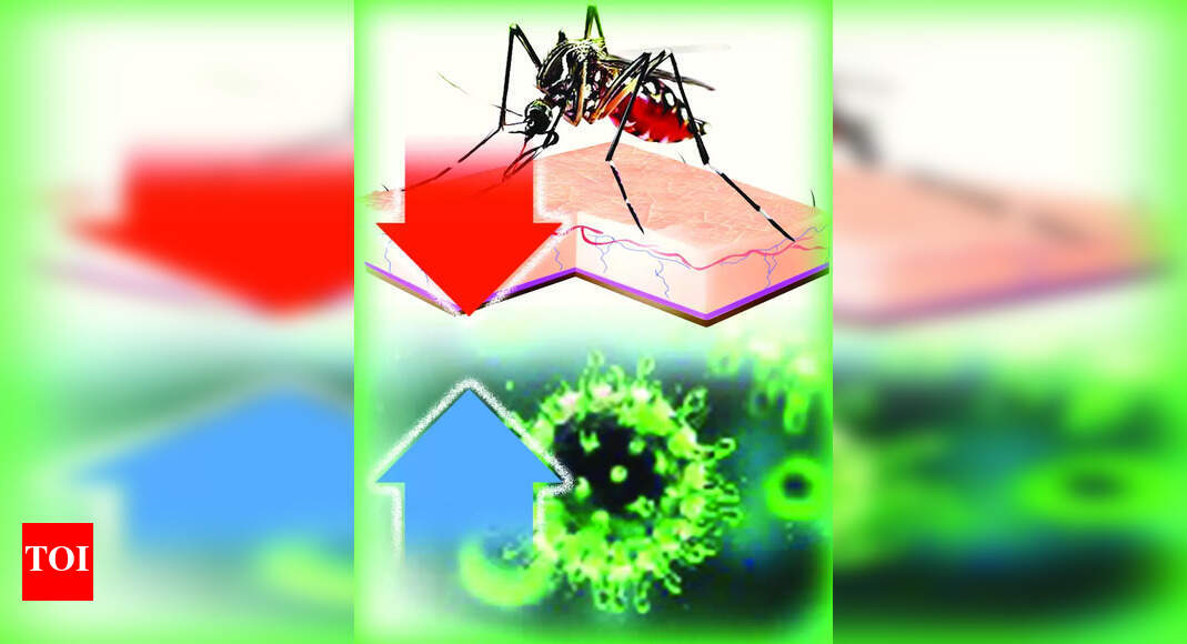 Swine Flu: Dengue Sting Weakens, But Swine Flu Sets Off Alarm Bells ...