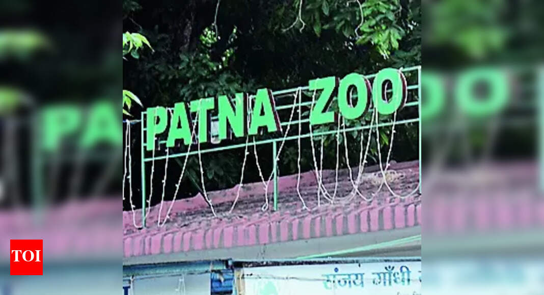 Rabies: Patna Zoo To Openat 6am From Today | Patna News - Times of India