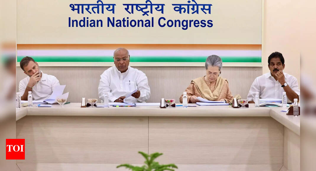 Congress releases 4th list of 56 candidates for Rajasthan polls, Gourav ...