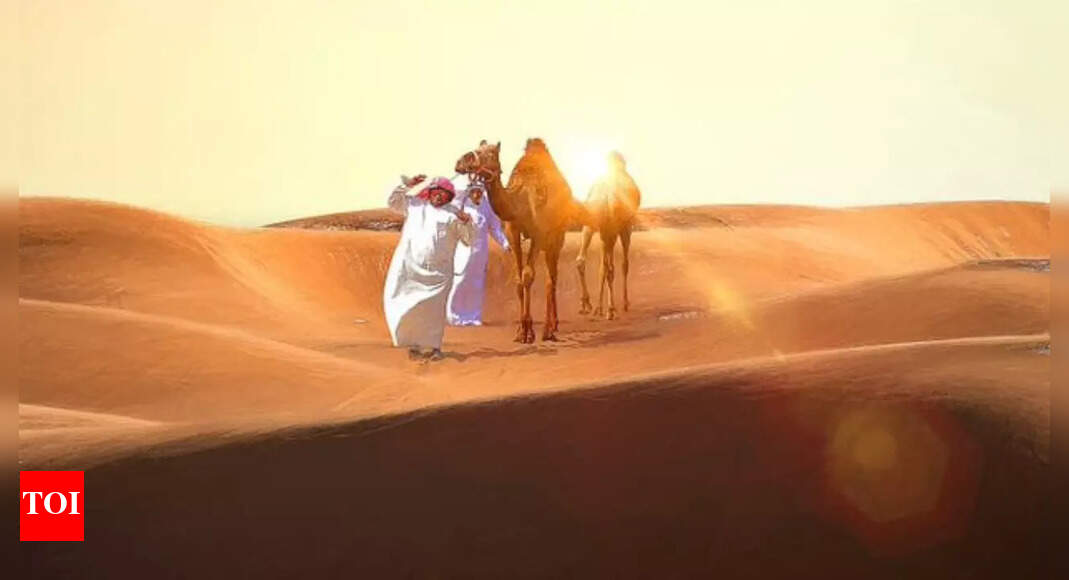 Vidaarth and Yogi Babu film titled 'Kuiko' | Tamil Movie News - Times ...