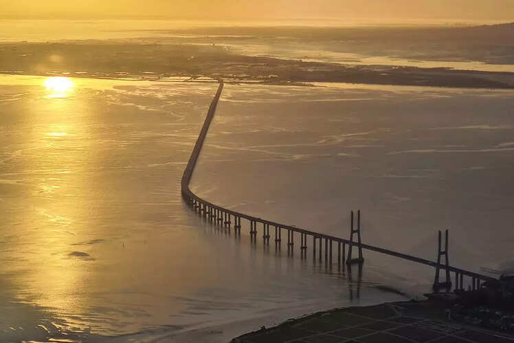 Connecting worlds: 10 longest bridges in the world | Times of India Travel
