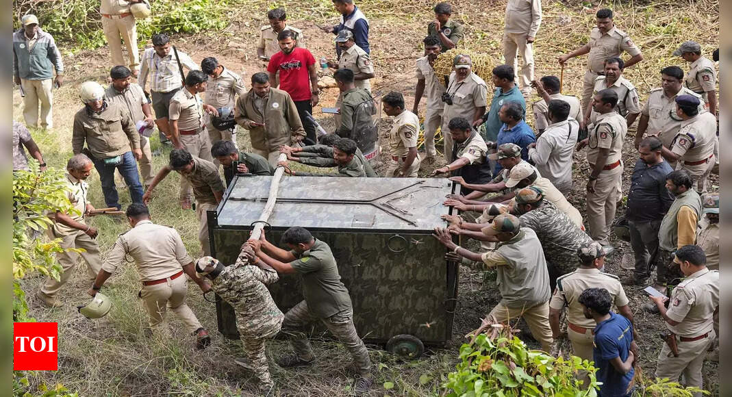 Bangalore Leopard News: Leopard shot dead in Bengaluru after three days ...