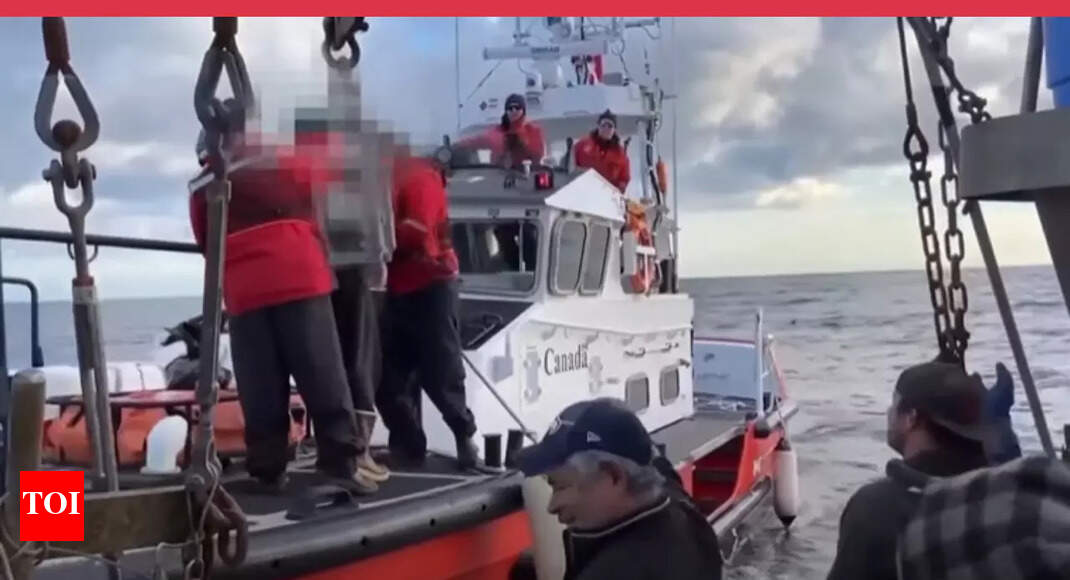 Miraculous rescue: Missing sailor found at sea after 2 weeks - Times of ...