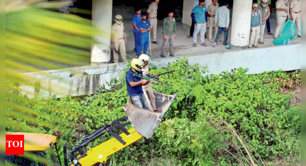 Bengaluru Leopard News: After 15-hr operation, leopard shot dead in ...