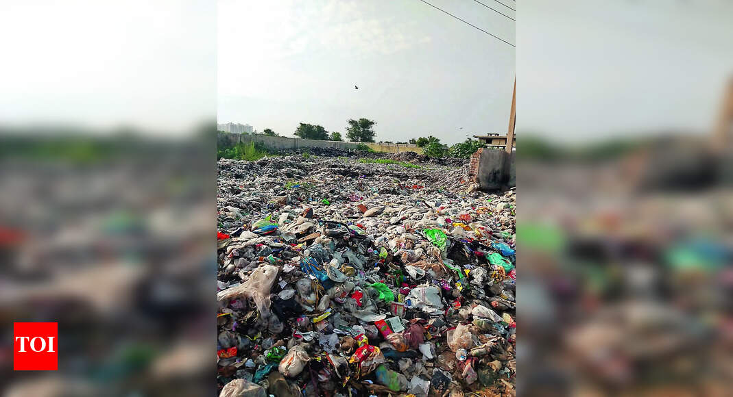 Waste Management: 3 Months On, Co Yet To Be Hired For Garbage Pickup In ...