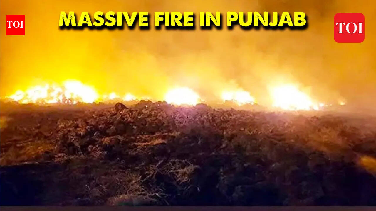 Massive fire engulfs stubble storage house in Ferozepur’s Saiyanwala ...