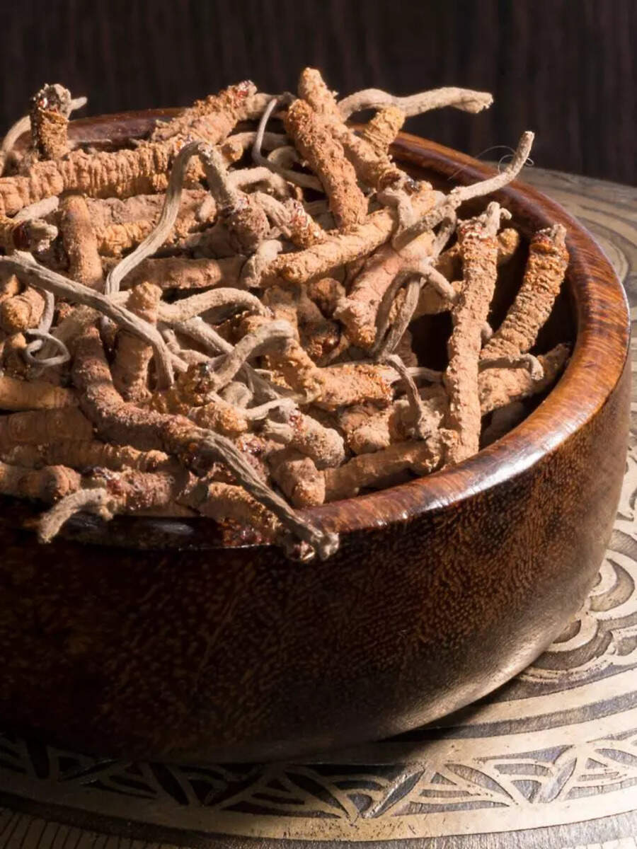 This rare Himalayan herbs acts as a natural steroid for immense energy ...