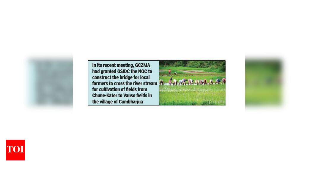 Bridge construction flouting environment rules once again, claim St ...