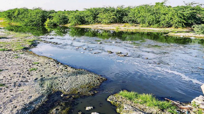 Water Pollution: As fertile fields lie barren for 40 years, farmers ...