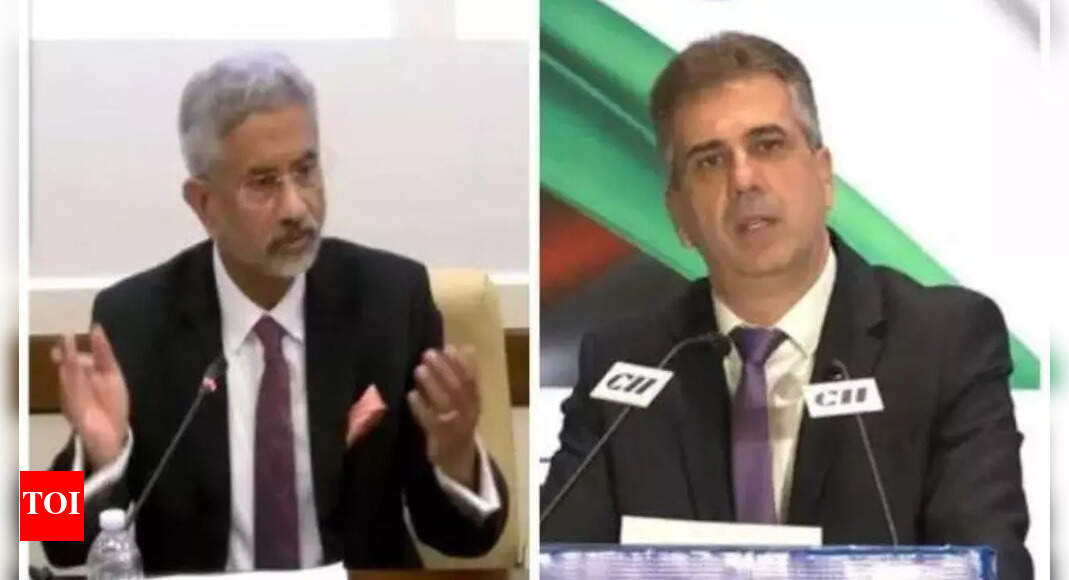 Israeli Foreign Minister thanks Jaishankar for India's support amid war ...