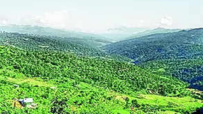 Manipur News: Shirui village bans hunting of animals for 3 years ...