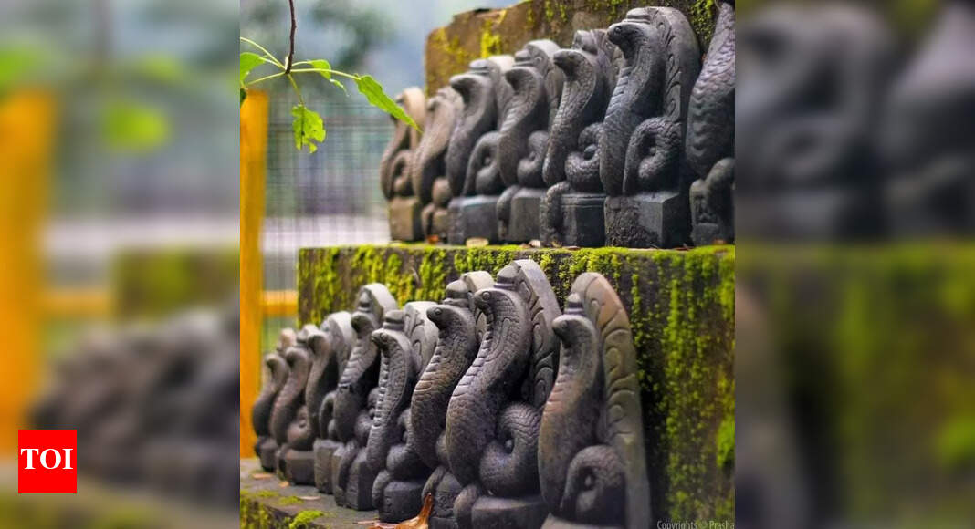 Mannarasala Ayilyam 2023: Mannarasala Sree Nagaraja Temple Ayilyam ...