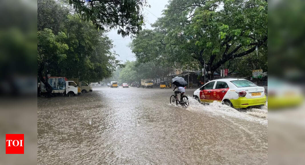 Kerala Rains: IMD forecasts widespread rainfall in Kerala over next 5 ...