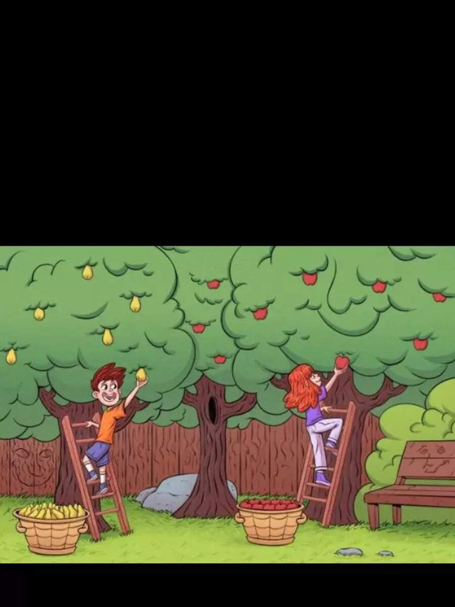 Optical Illusion: Spot Three Hidden Faces In The Garden In 7 Seconds ...