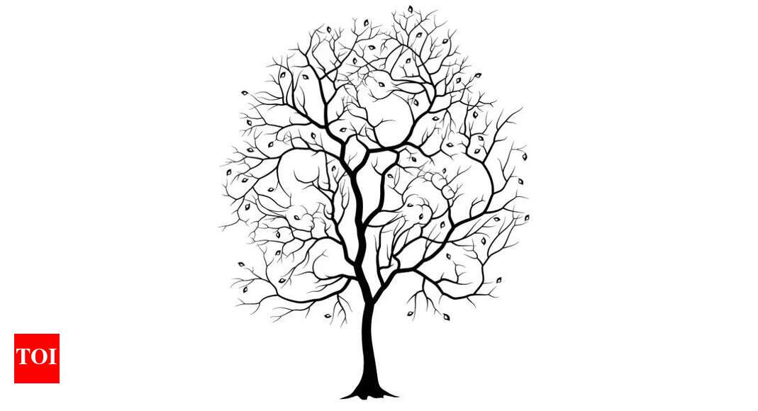 Optical Illusion: You have the eyes of a hawk if you can spot three ...