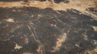 Primitive rock art of Avalakkipare re-examined | Hubballi News - Times ...