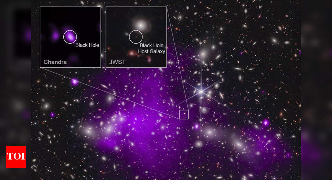 Nasa discovers most distant growing Black Hole using Chandra and Webb telescopes - Times of India