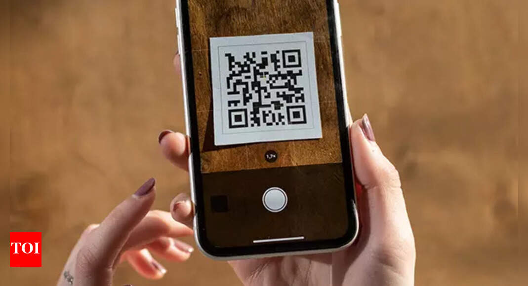 It is time for a single QR code for all world's payment - Times of India