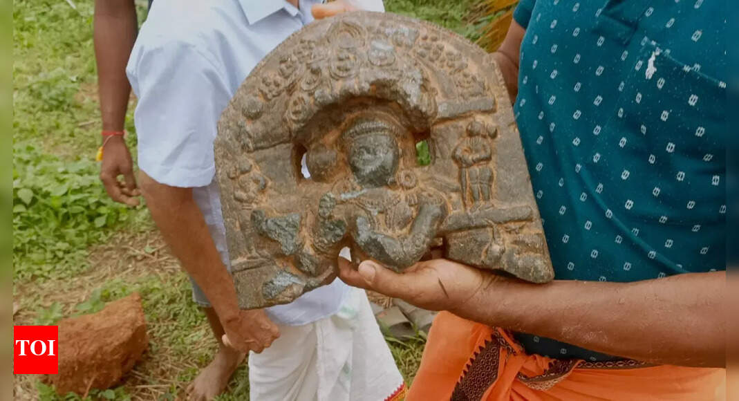 Ancient idol of Lord Gopalakrishna unearthed in Karnataka village ...