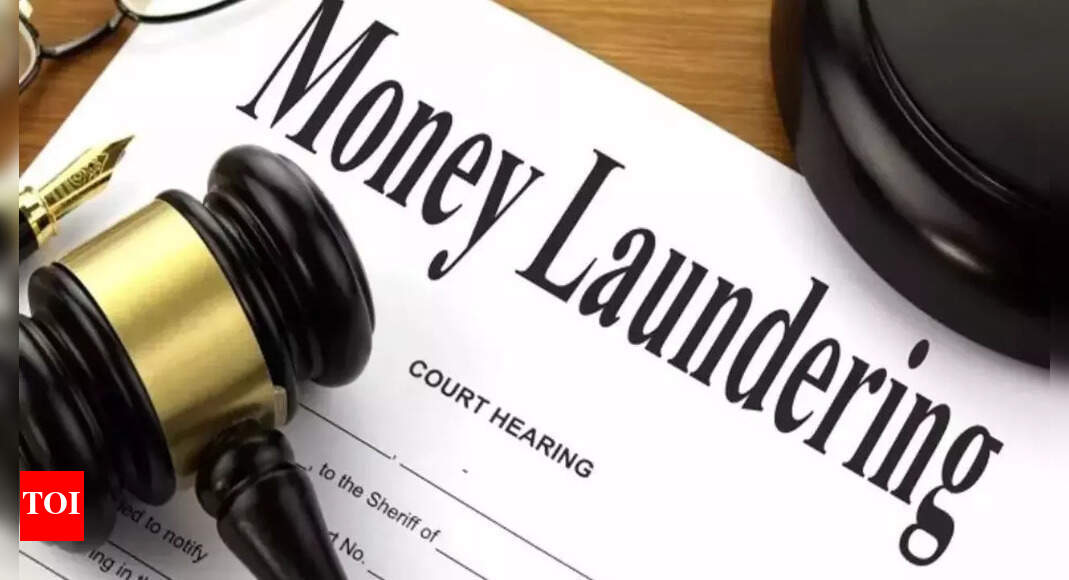 NewsClick rebuts money laundering charges in HC | India News - Times of ...