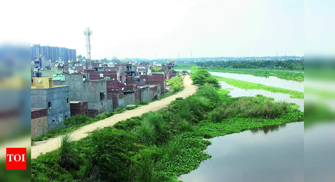 Nature: Demarcate Yamuna, Hindon Floodplains By Jan 10: Ngt To Dms ...