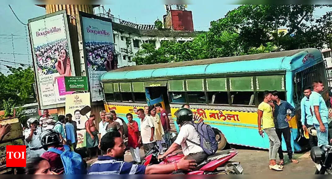 Rabies: Thakurpukur Accident: Ex-cid Officer Dead; Killer Bus Has 348 ...