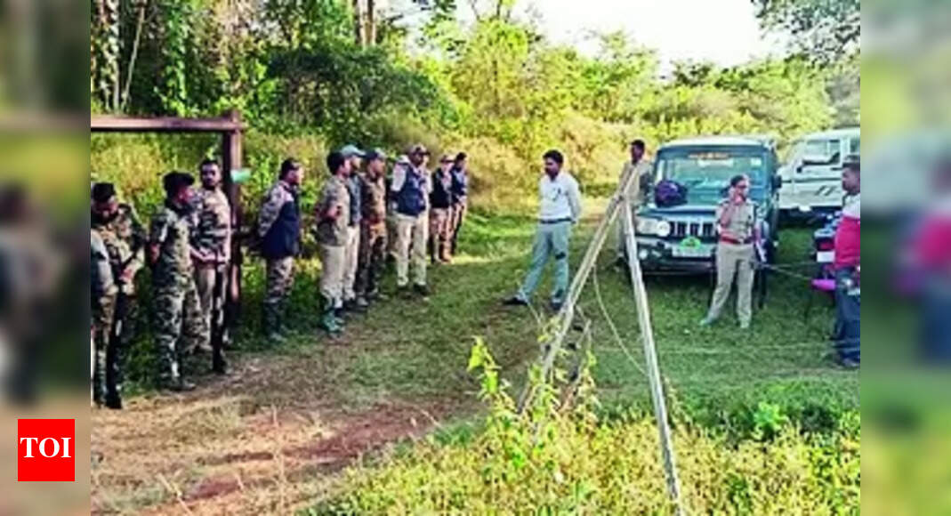 K’taka Wildlife Warden Reviews Tiger Operation | Mysuru News - Times of ...