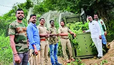 Leopard: Cage Set Up To Capture Stray Leopard In Islampur Village ...