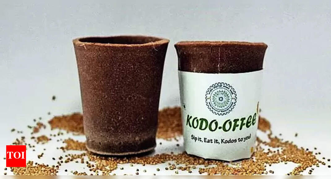 Kodo Millet: In A First, Iit-roorkee Develops Kodo Millet-based Edible ...