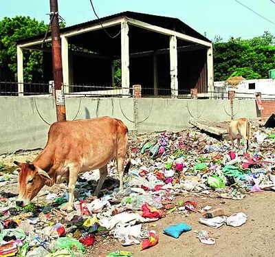Waste Management: Garbage Piles Up, Lmc Yet To Hire Company For Waste ...