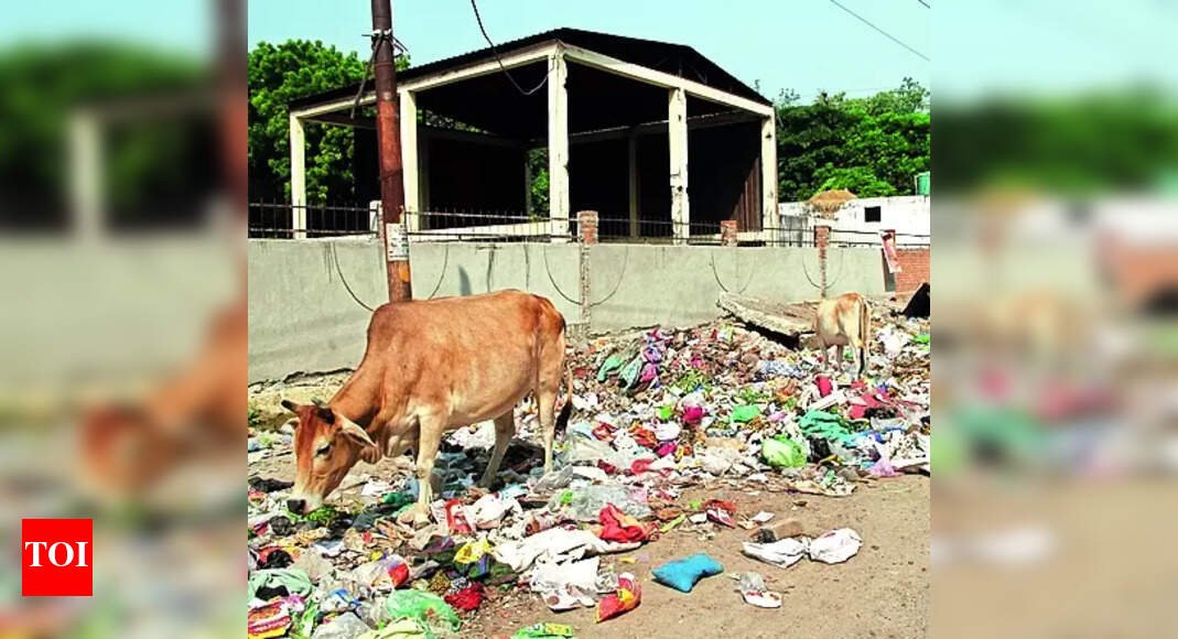 Waste Management: Garbage Piles Up, Lmc Yet To Hire Company For Waste ...