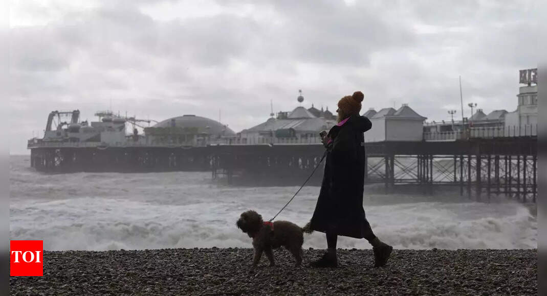 Nature: Extreme weather may help invasive species outcompete native ...