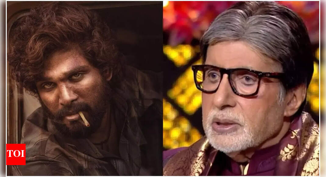 Amitabh Bachchan calls Allu Arjun 'brilliant actor'; praises his ...