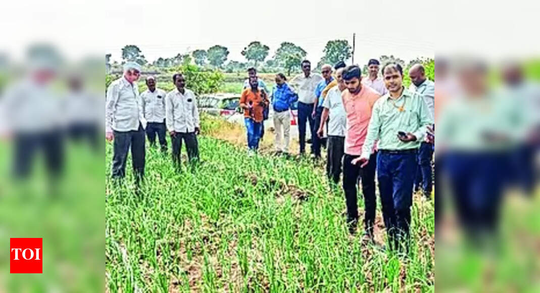 Onion: Central Team Gauges Onion Trade At Lasalgaon, Pimpalgaon | Nashik News - Times of India