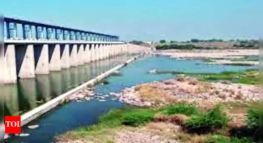 Krishna: Bhima River Dries Up, Leaves 100 Villages In Lurch | Hubballi ...