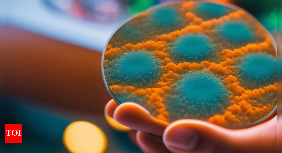 Modification of Rifamycin Polyketide Backbone Leads to Improved Drug ...