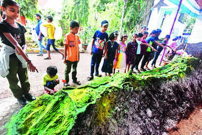 Sports Nutrition: Civic Body’s Garden Dept Hosts 29th Fort-building ...