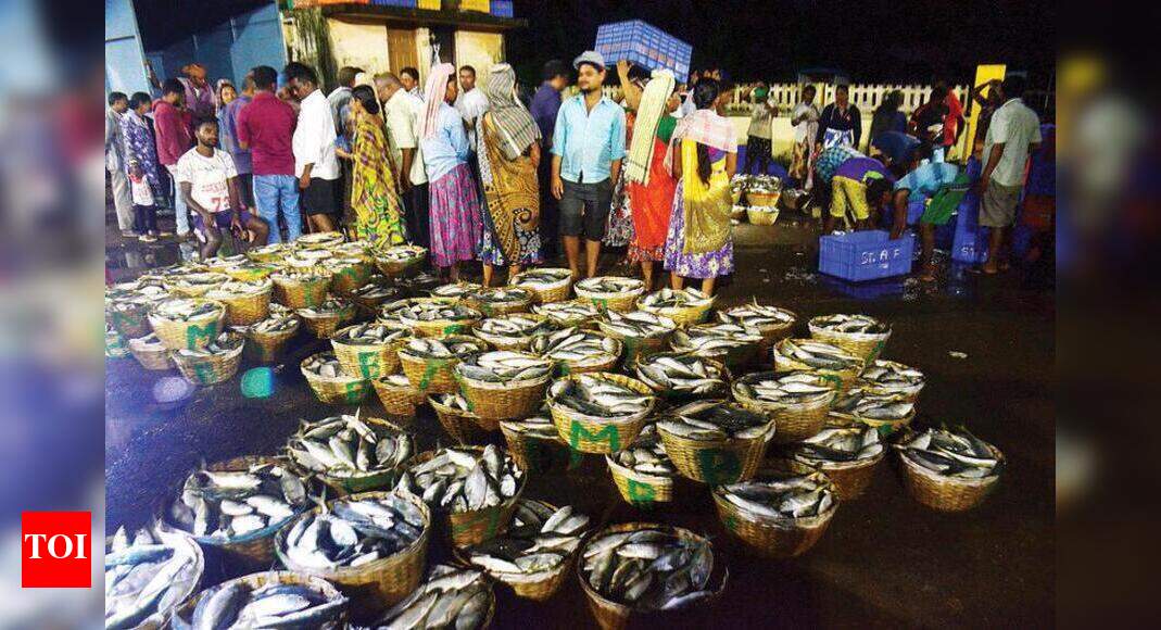 Margao wholesale fish market gets new upkeep push | Goa News - Times of ...