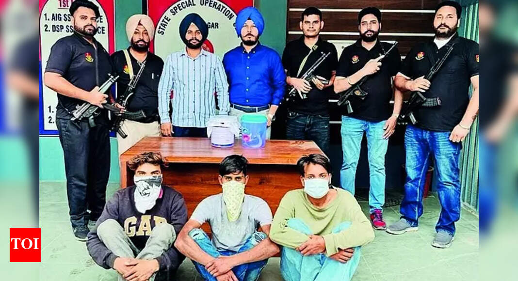 Sports Nutrition: 3 Bambiha Gang Aides Held With Weapons In Mohali ...