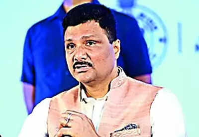 Millet: Plan For Msp-like Benchmark Price For Non-ragi Millets ...