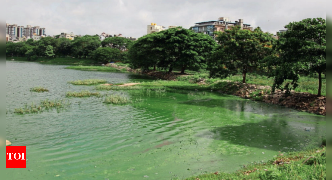 Stinky Water: Stinky Water, Lack Of Amenities Keep People Away From ...