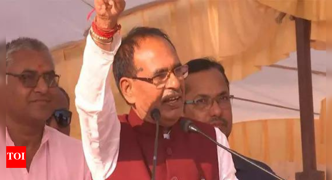 Election Manifesto, Madhya Pradesh Assembly Polls: 'We do what we say ...