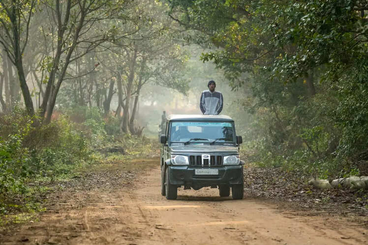 Exploring the diverse safari zones of Jim Corbett National Park | Times ...